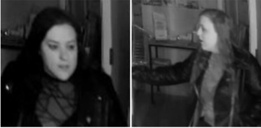 Saltford Hall burglary CCTV images released - Keynsham Voice