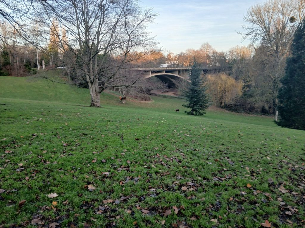 Work in park fuels Keynsham bypass bus lane fears - Keynsham Voice