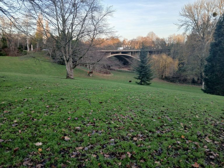 Work in park fuels Keynsham bypass bus lane fears - Keynsham Voice